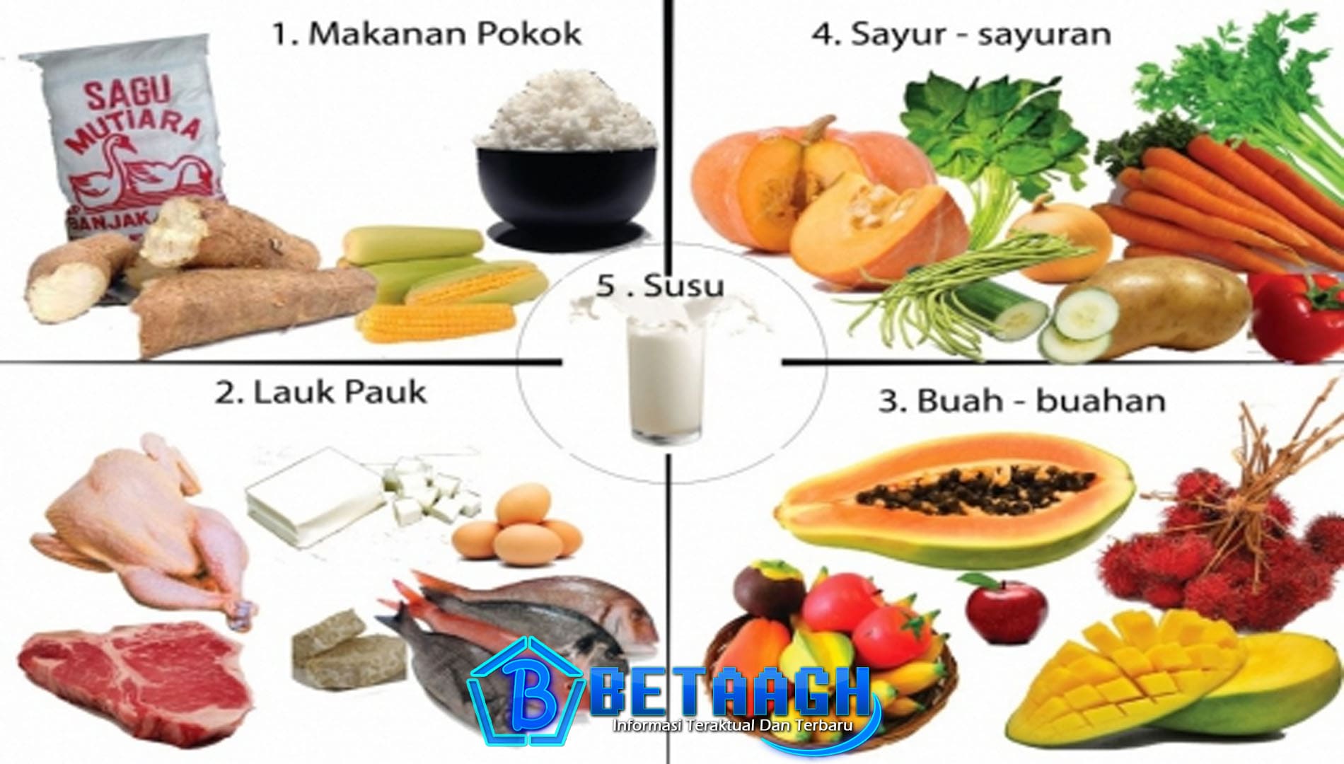Makan Sehat untuk Hidup Bebas Obesitas Panduan Nutrisi Terbaik