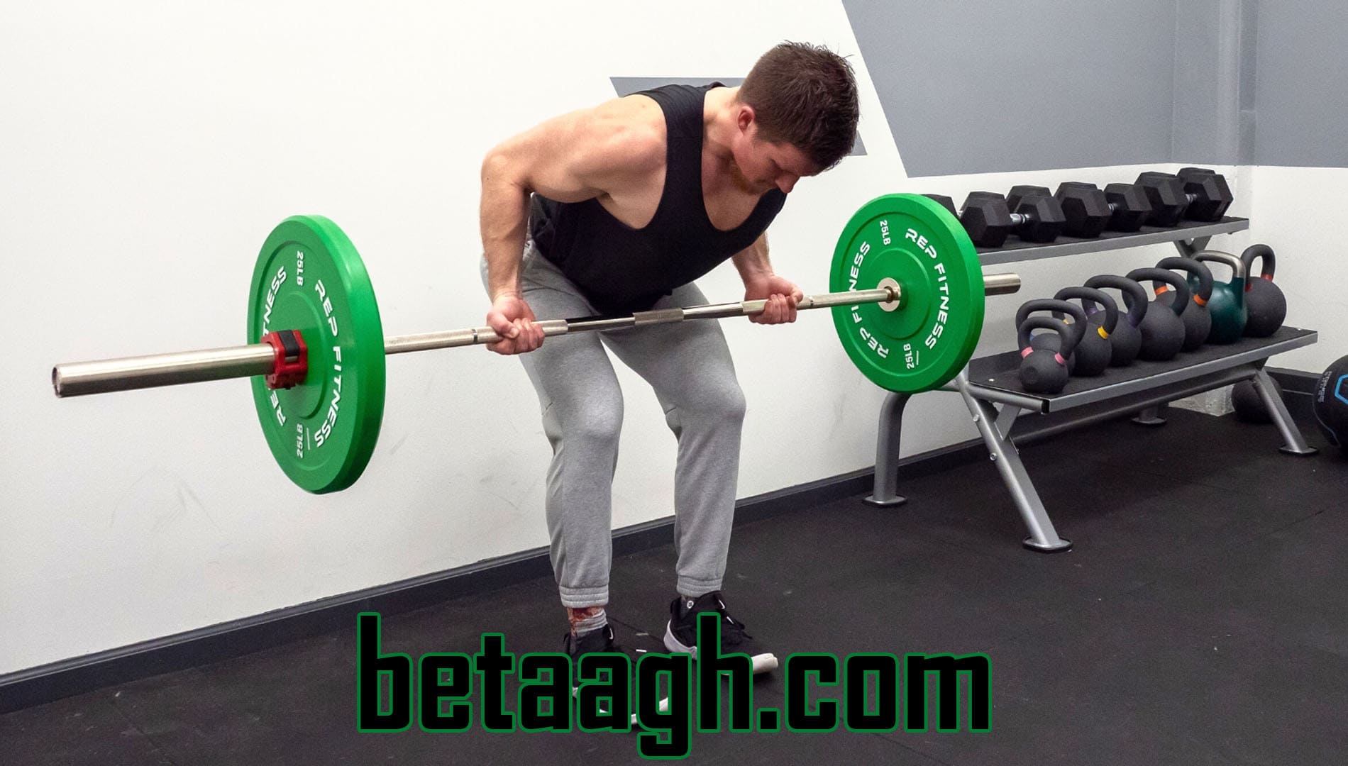 Barbell Row: Panduan Lengkap untuk Pemula dalam Fitness