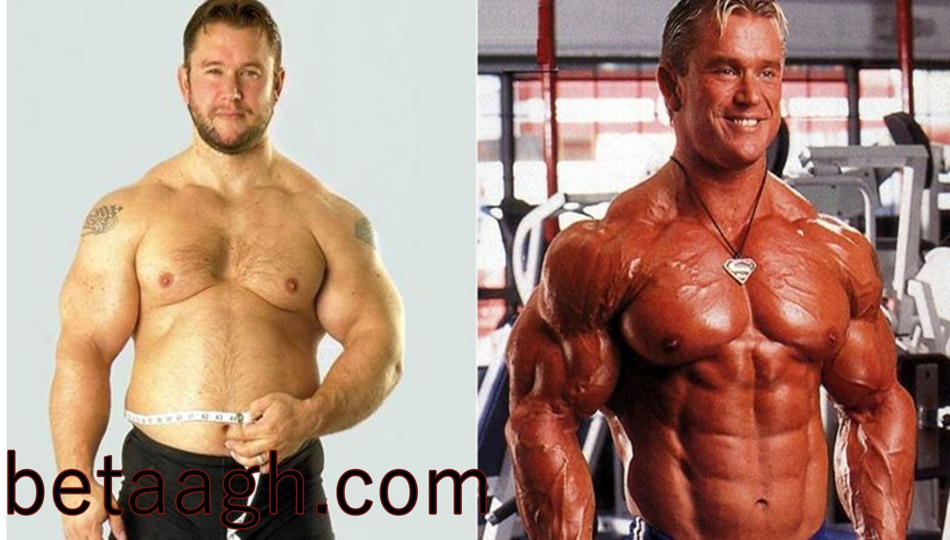 Bulking 101 Panduan Dasar untuk Membangun Massa Otot