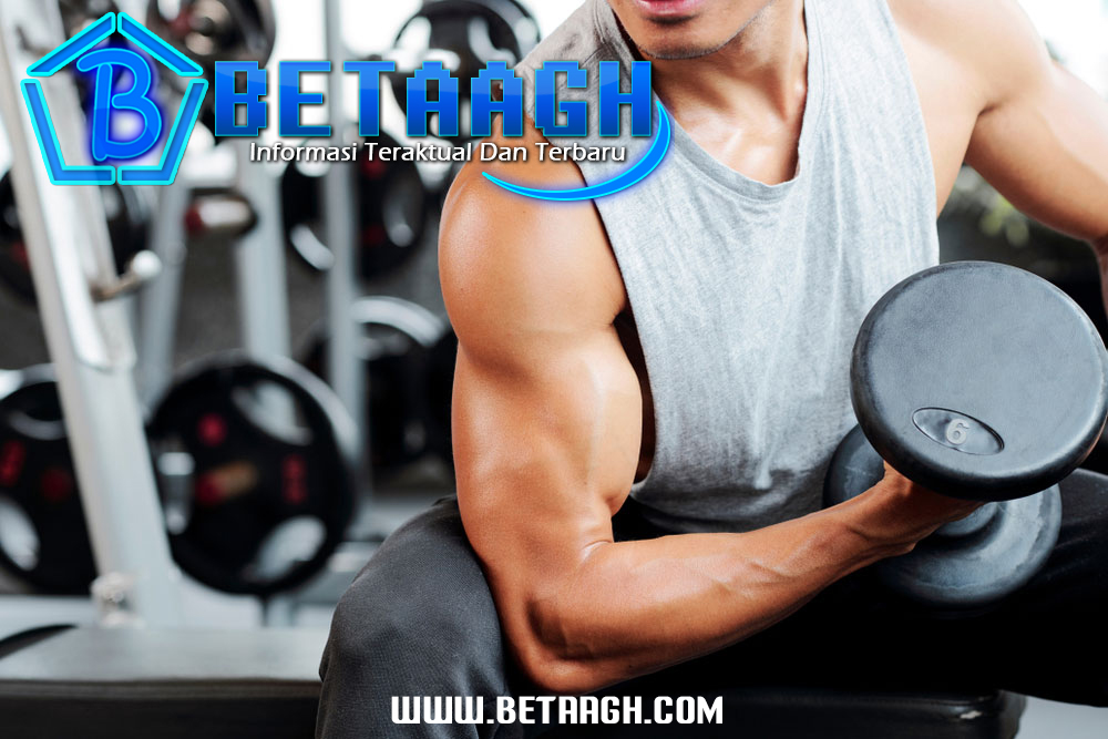 Struktur Otot Bicep dan Tricep